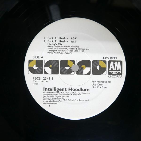 アーティスト：INTELLIGENT HOODLUMタイトル：BACK TO REALITYレーベル：A&amp;M 7502123411ジャケット：NONE盤：E-帯：NONEFMT：12枚数：1JAN：コメント：US盤レビュー：
