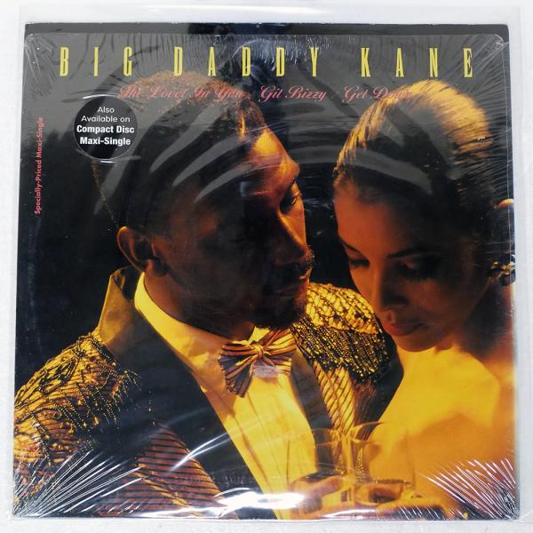 アーティスト：BIG DADDY KANEタイトル：LOVER IN YOU / GIT BIZZY / GET DOWNレーベル：COLD CHILLIN' 040343ジャケット：E-盤：VG+帯：NONEFMT：12枚数：1JAN：コ...