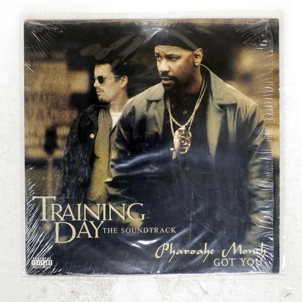 アーティスト：PHAROAHE MONCHタイトル：GOT YOUレーベル：PRIORITY SPRO81590ジャケット：E-盤：VG+,DJ帯：NONEFMT：12枚数：1JAN：コメント：US盤 シュリンク付き プロモ 盤キズレビュー：