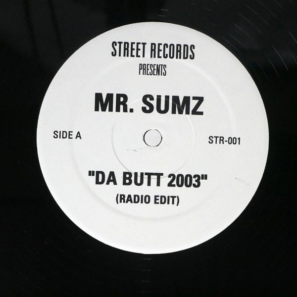 アーティスト：MR.SUMZタイトル：NOBODY CARES / DA BUTT 2003レーベル：STREET RECORDS STR001ジャケット：NONE盤：E-帯：NONEFMT：12枚数：1JAN：コメント： マイナー G-F...
