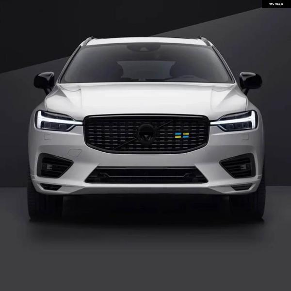 ボルボ ミドルメッシュグリルデコレーション デコレーションストリップ XC60 S90 XC40 XC90 V40 S60 V60 V90 V60CC V90CC カーステッカー カスタム パーツ アクセサリーHIGH-CONCERNED ...