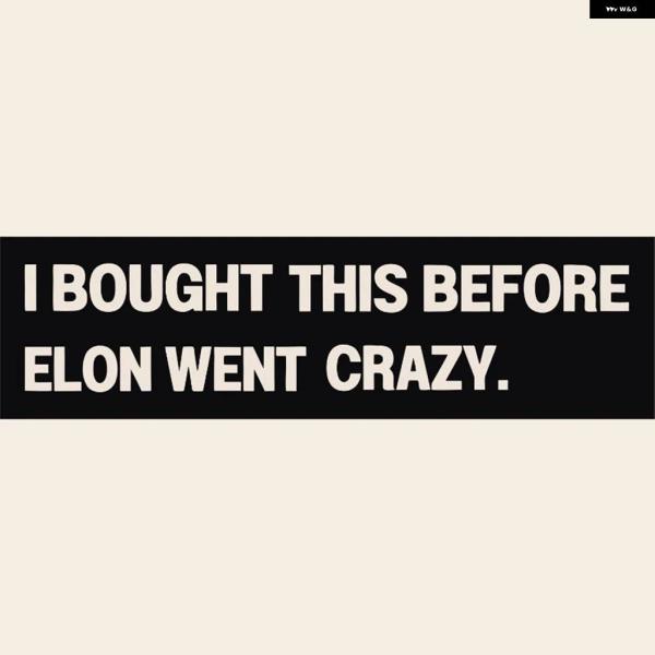 アンチイーロン 車用 バンパー ステッカー イーロンが狂う前に買った デカール バンパー ウィンドウ 防水 ステッカー 15CM PVC KK カスタム パーツ アクセサリーHigh-concerned chemical:NoneCateg...