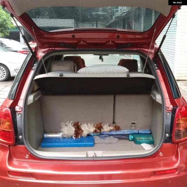 SX4 S-CROSS 2013-2021 リアブート テールゲート ガスストラット スプリング リフト サポート 油圧 ロッド プロペラ 81850-61M00 車 カスタム パーツ アクセサリーHigh-concerned chemic...