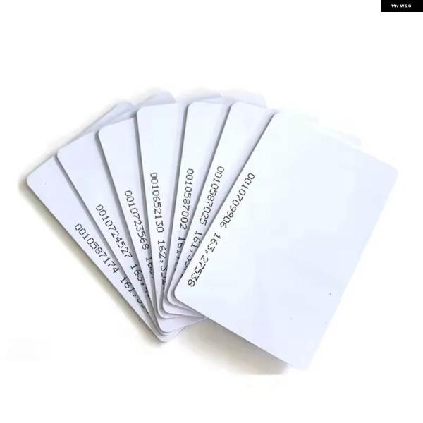 10個 RFID ID 125KHZ EM4100 TK4100 読み取り専用スマート近接タグ 薄型ホワイトカード アクセス 制御 タイムアテンダンス カスタム パーツ アクセサリーSmart card type:Not RecordedH...