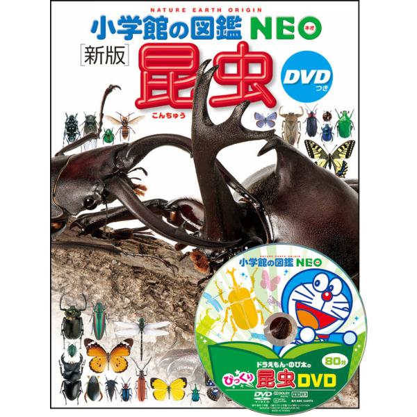 NEO「昆虫」にDVDつき新版登場！小学館の図鑑NEOシリーズNo1の売れ行きをほこる『昆虫』に、DVDつき新版登場！新版『昆虫』は、美しい標本写真、的確な生態写真、大きさが把握しやすい拡大率など、図鑑ページのクオリティはそのままに、さらに...