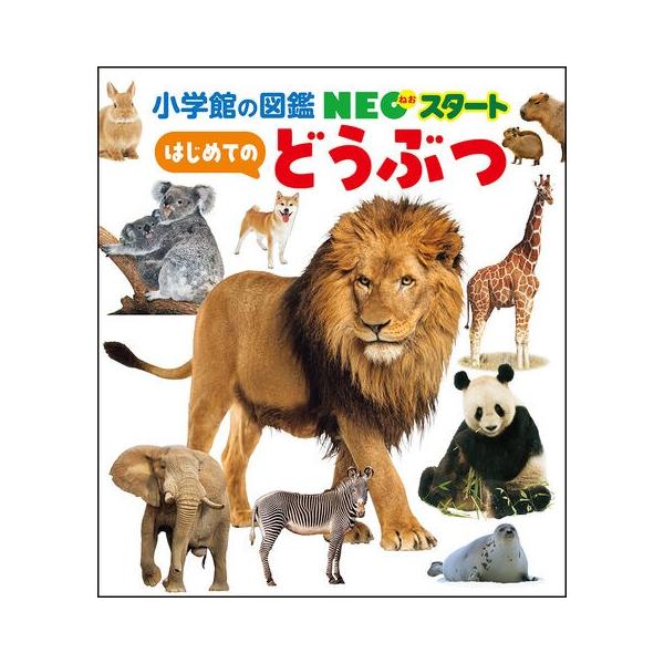 ２歳から楽しめる「図鑑ＮＥＯの入門版」！漢字は一切なし！ 「NEOスタート」は２歳からやさしく覚えられる、図鑑NEOの入門版シリーズです。親子での読み聞かせはもちろん、小さなお子様ひとりでも読み進められます。ライオン、パンダ、ゾウ、イルカ、...