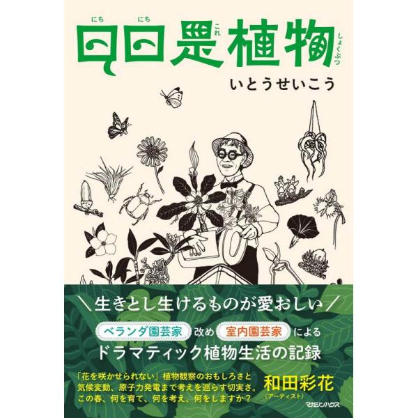 金のなる木、オリヅルラン、ニチニチソウ、シイタケ栽培、パンジー、マイクロ胡蝶蘭……etc.　　　　ベランダ園芸歴25年のいとう家では、昨今の気候変動もあいまって、ベランダ園芸から室内園芸にシフトしつつある日々。多少の採光があると気づけば、玄...