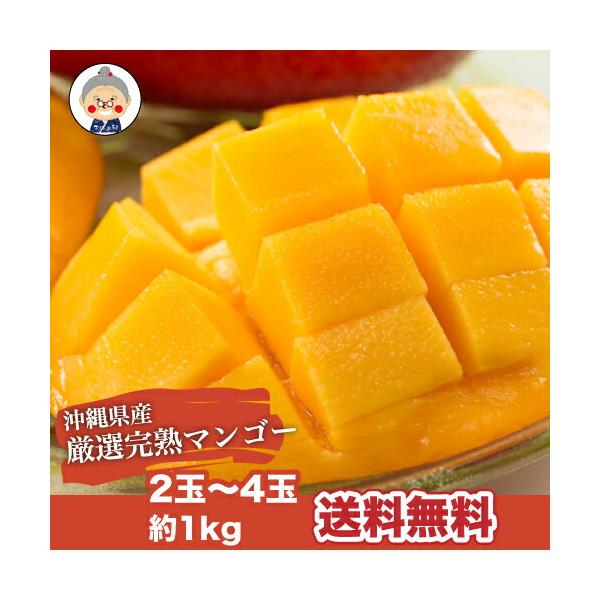 ▼沖縄産完熟マンゴー1kg▼ 沖縄産の完熟マンゴー！各種ご贈答にも利用可能！沖縄の夏の味をお楽しみ下さい！甘くてジューシーな味に子供も大人も大喜び！ ※7月中旬〜順次発送 ※発送時期は目安なので多少、前後する場合もございます。商品名：沖縄産...