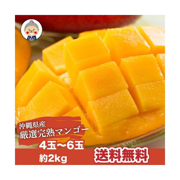 ▼沖縄産完熟マンゴー2kg【送料無料】▼ 沖縄産の完熟マンゴー！各種ご贈答にも利用可能！沖縄の夏の味をお楽しみ下さい！甘くてジューシーな味に子供も大人も大喜び！ 商品名：沖縄産完熟マンゴー(アップルマンゴー) 内容量 ：4玉〜6玉の合計約1...
