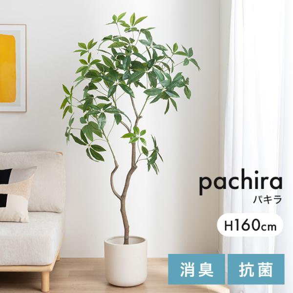 ■材質：【葉】ポリエチレン、エチレン酢酸ビニル【茎】ポリエチレン、鉄鋼【鉢】ポリプロピレン、天然木、コンクリート■脚部：■組立区分：組立式■お届け：通常1〜4営業日で発送となります■備考：【梱包サイズ】22cm×22cm×118cm【梱包重...