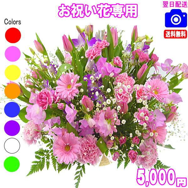 ■土・日・祝も対応ＯＫ 年中無休 15時までのご注文であすつく対応  ■お届け商品画像確認ＯＫ