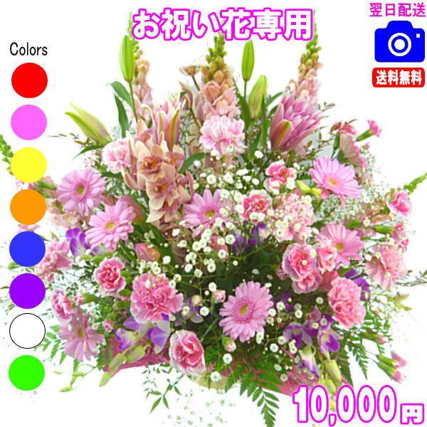 ■土・日・祝も対応ＯＫ 年中無休 15時までのご注文であすつく対応  ■お届け商品画像確認ＯＫ