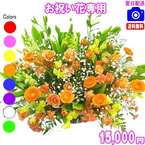 ■土・日・祝も対応ＯＫ 年中無休 15時までのご注文であすつく対応  ■お届け商品画像確認ＯＫ