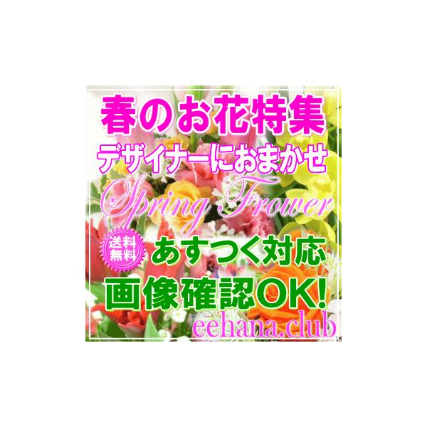 ■土・日・祝も対応ＯＫ 年中無休 15時までのご注文であすつく対応送料無料 即日配達 チューリップ フリージア 誕生日 ギフト アレンジメント 花束 プレゼント 誕生日 花 ギフト プレゼント女性 送料無料 女性  開店 オープン 結婚記念...