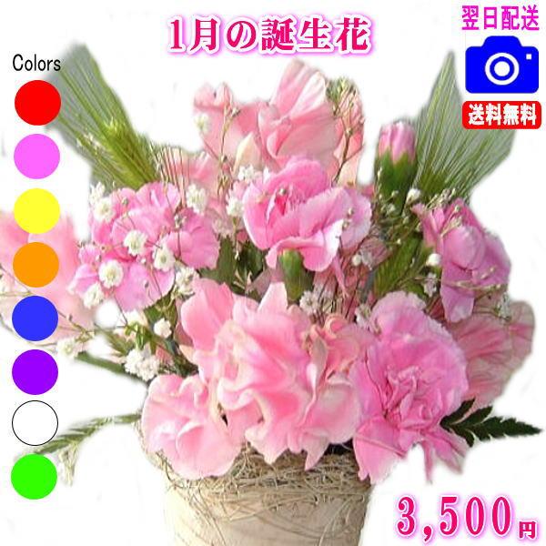 ■土・日・祝も対応ＯＫ 年中無休 15時までのご注文であすつく対応  ■お届け商品画像確認ＯＫ