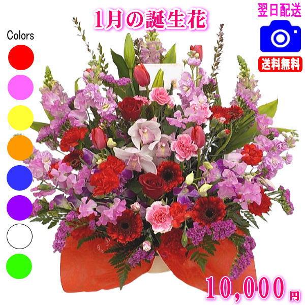 ■土・日・祝も対応ＯＫ 年中無休 15時までのご注文であすつく対応  ■お届け商品画像確認ＯＫ