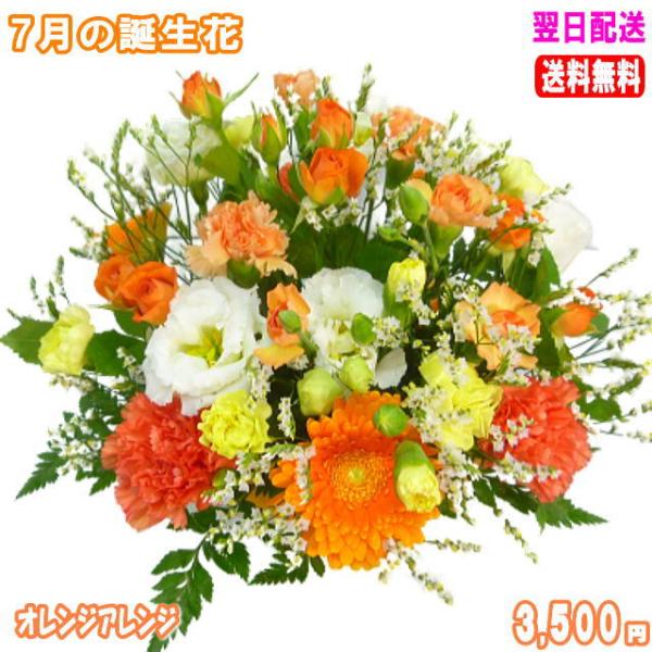 誕生日 花 ギフト プレゼント女性 送料無料 季節の花でおまかせアレンジメント 女性  開店 オープン 結婚記念日 お祝い フラワー お見舞い 退職 送別 花 プレゼント 即日発送 誕生日プレゼント 生花 お花 女性 母 妻 バラ トルコキ...