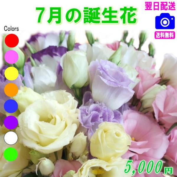 誕生日 花 ギフト プレゼント女性 送料無料 季節の花でおまかせアレンジメント 女性  開店 オープン 結婚記念日 お祝い フラワー お見舞い 退職 送別 花 プレゼント 即日発送 誕生日プレゼント 生花 お花 女性 母 妻 バラ トルコキ...