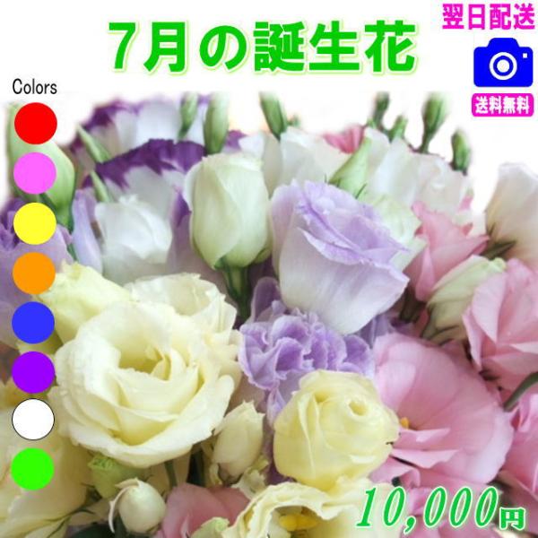 ■土・日・祝も対応ＯＫ 年中無休 15時までのご注文であすつく対応  ■お届け商品画像確認ＯＫ