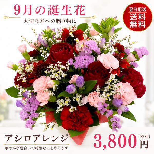 誕生日 花 ギフト プレゼント女性 送料無料 季節の花でおまかせアレンジメント 女性  開店 オープン 結婚記念日 お祝い フラワー お見舞い 退職 送別 花 プレゼント 即日発送 誕生日プレゼント 生花 お花 女性 母 妻 リンドウ りん...
