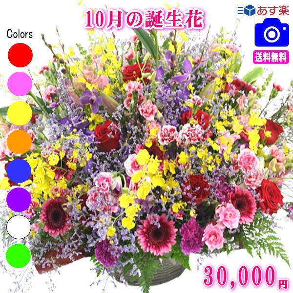 誕生日 花 ギフト プレゼント女性 送料無料 季節の花でおまかせアレンジメント 女性  開店 オープン 結婚記念日 お祝い フラワー お見舞い 退職 送別 花 プレゼント 即日発送 誕生日プレゼント 生花 お花 女性 母 妻 ガーベラ お祝...