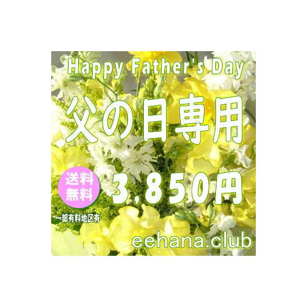 ■土・日・祝も対応ＯＫ 年中無休 15時までのご注文であすつく対応  delivery0619■お届け商品画像確認ＯＫ