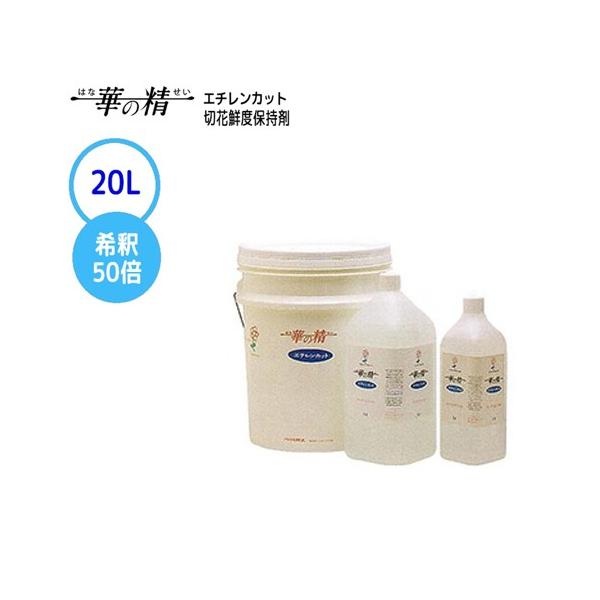 【 パレス化学 切花鮮度保持剤 華の精 エチレンカット 20L 花枝 ガーデニング 園芸 華道 家庭菜園 花長持ち 延命剤 活性剤 栄養 植物 業務用 大容量】萎れ、落花防止に。落花、シオレやすい花には、この華の精エチレンカットこそが効果抜...