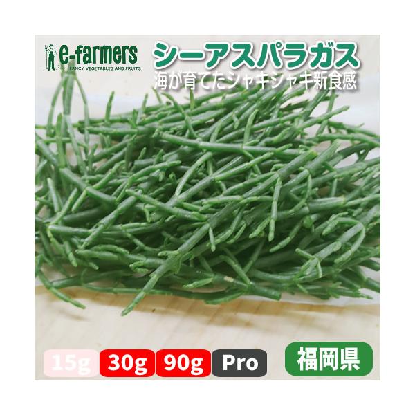 ＼TVやSNSで話題！海の恵みを浴びて育った新感覚野菜／ヨーロッパの高級食材や本格フレンチでおなじみの「シーアスパラガス（サリコルニア）」が、福岡の豊かな海風とはぐくまれて登場です！最大の特徴は、調味料いらずの「天然の塩気」と、口の中で弾け...