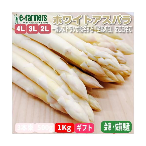 【発売日：2026年04月16日】一流レストランが指名する「至高の白」を、ご自宅の食卓で贅沢に楽しみませんか。市場でも滅多に出回ることがない、圧倒的な風格を誇る「幻」の極太サイズを厳選してお届けいたします。福島県会津や佐賀県で大切に育てられ...