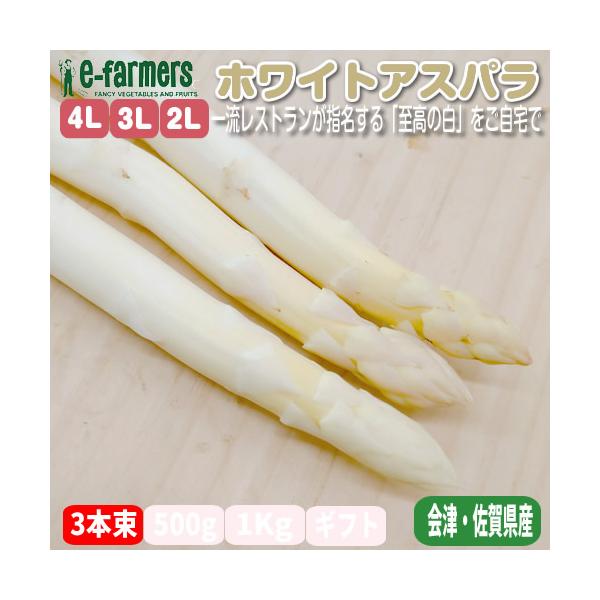 【発売日：2026年04月16日】一流レストランが指名する「至高の白」を、ご自宅の食卓で贅沢に楽しみませんか。市場でも滅多に出回ることがない、圧倒的な風格を誇る「幻」の極太サイズを厳選してお届けいたします。福島県会津や佐賀県で大切に育てられ...