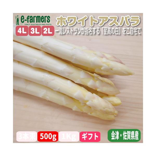 【発売日：2026年04月16日】一流レストランが指名する「至高の白」を、ご自宅の食卓で贅沢に楽しみませんか。市場でも滅多に出回ることがない、圧倒的な風格を誇る「幻」の極太サイズを厳選してお届けいたします。福島県会津や佐賀県で大切に育てられ...