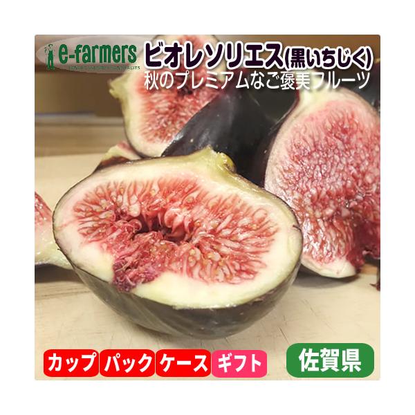 「黒いダイヤ」と絶賛される超希少な最高峰いちじく「ビオレソリエス」。 フランスのプロヴァンス地方のソリエス地方を原産とする高級いちじく。 極上品種を国内でいち早く手掛けた、佐賀のパイオニア「富田農園」さんが育む至高の逸品です。 包み込む皮の...