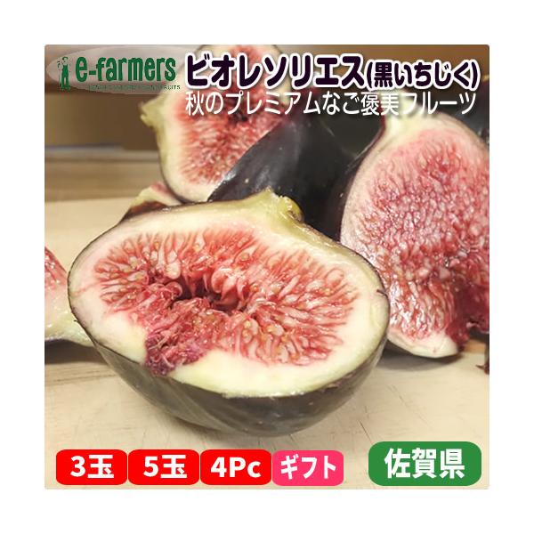 【発売日：2026年09月15日】「黒いダイヤ」と絶賛される超希少な最高峰いちじく「ビオレソリエス」。 フランスのプロヴァンス地方のソリエス地方を原産とする高級いちじく。 極上品種を国内でいち早く手掛けた、佐賀のパイオニア「富田農園」さんが...