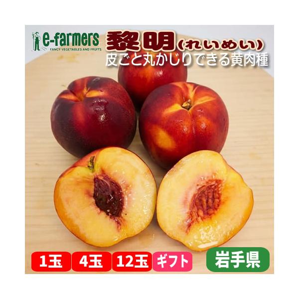 岩手の大自然が育んだ、夏の訪れを告げる希少なネクタリン「黎明（れいめい）」。昭和の名品「反田ネクタリン」と甘みの強い「インデペンデンス」を交配して生まれた、鮮やかな黄肉系品種です。うぶ毛がないツヤツヤの赤い皮をカットすれば、太陽のような黄色...