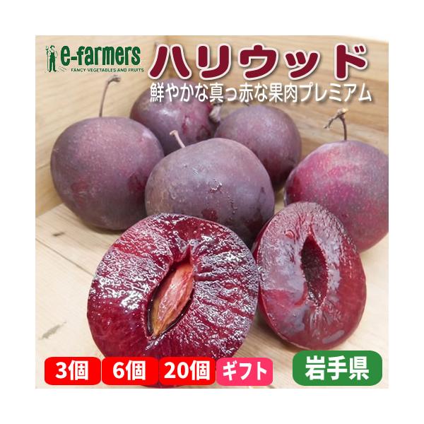 切った瞬間に驚くほど、果肉まで鮮烈な真っ赤に染まった岩手県産プラム「ハリウッド」。 岩手の豊かな自然と涼涼な気候の中で育まれたこの品種は、一口かじればジューシーな果汁と、すももならではの爽やかな甘酸っぱさが口いっぱいに広がります。 赤く熟し...
