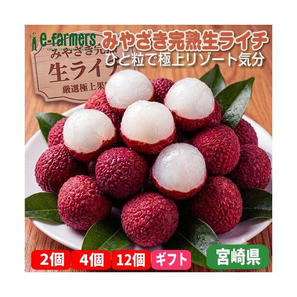 【発売日：2026年08月03日】国内流通わずか1%未満とされる、極めて希少な国産「みやざき完熟生ライチ」をお届けします。  冷凍ライチでは絶対に味わえない、フレッシュ生ライチならではの圧倒的な果汁感と芳醇な香り。果皮をむいた瞬間にあふれ出...
