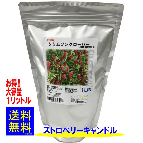 クリムソンクローバー(品種：ディクシーまたは、くれない他)の種子が１L入っています。ストロベリーキャンドルの名前でも流通しています。景観用のほか鉢植えや、草丈が出るので切花としても利用できます。葉がクローバーの葉ですが夏越し出来ませんので、...