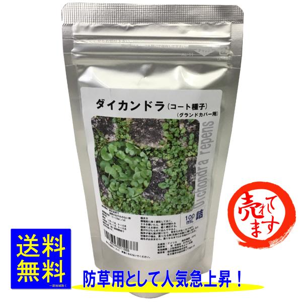 ヒルガオ科の多年草で、関東以西では越冬が可能なグランドカバープランツとして人気です。土壌被覆力が強く、雑草の侵入を防止します。 耐暑性、耐陰性、耐湿性に優れ、芝が育たない場所でも生育します。春播きを推奨。秋播きも可能ですが、蔓になる前の幼苗...