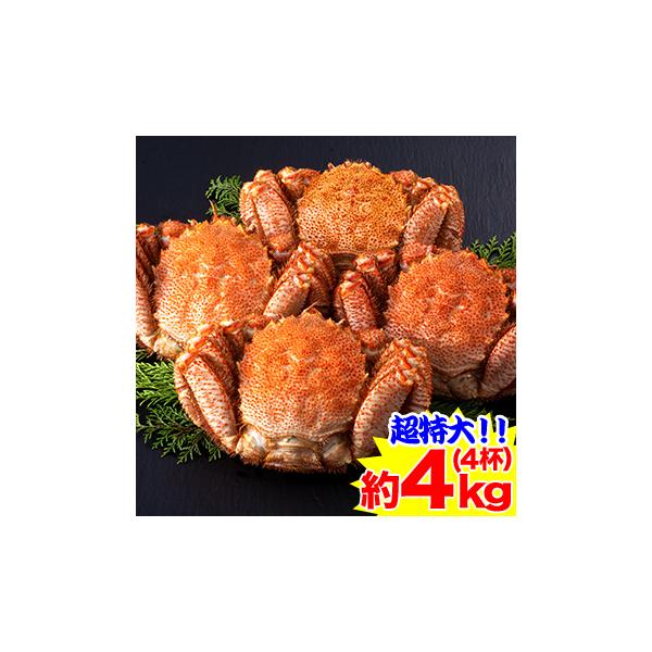 笑顔の食卓匠 笑顔食卓匠 匠本舗 ボイル　毛蟹　毛蟹　お買い得　北海道　姿　蟹ミソ　かにみそ　北海道　北海道浜茹で　浜茹で