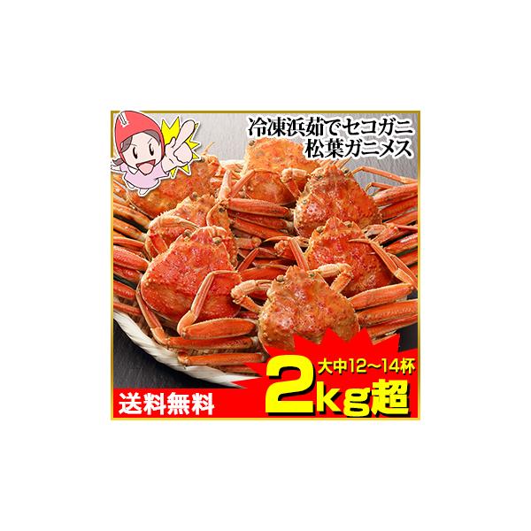 笑顔の食卓匠 笑顔食卓匠 匠本舗　匠　たくみ　ずわい　ズワイ　マツバ　松葉がに  せこがに　かに　カニ　蟹　境港厳選　境港  せこガニ