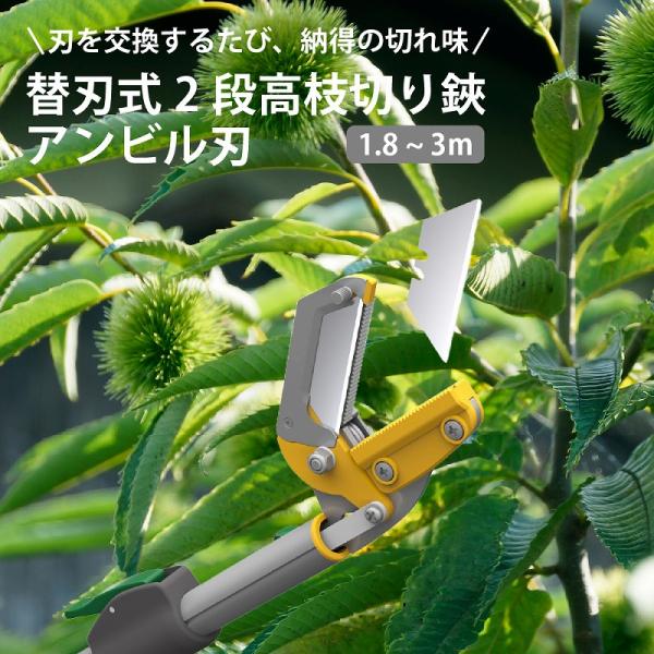 商品名　　　　替刃2段式高枝切り鋏アンビル刃サイズ　　　　W66×D46×H1800mm重　量　　　　約940g切断径      　　約12mm伸縮機能　　　1.8m〜3.0m 13段伸縮　材　質　　　　ポール部：アルミパイプ　　　　　　　...