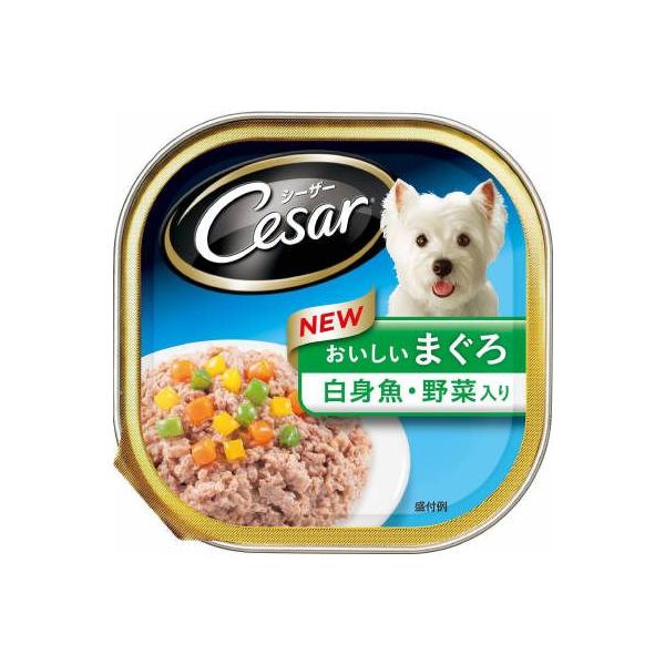 aeon_cybersale_petkids