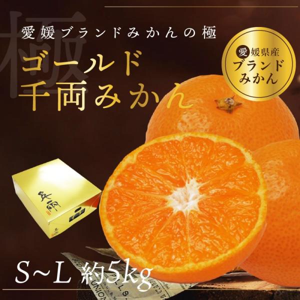 ＼好評発売中／受注受付：12月23日朝9時まで！日の丸ゴールド千両みかんは、「紅色で丸い実を冬に結び、古来より重宝されている千両のように」「千両役者のように特に優れた」「年の暮れに千両箱が届くと翌年はすばらしい年になるという言い伝え」などの...