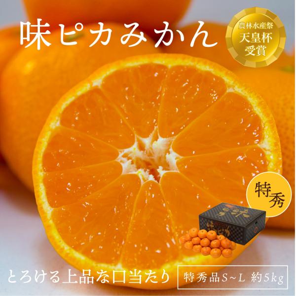 ＼好評発売中／受注受付：12月23日朝9時まで味ピカみかんは、今から20年ほど前に誕生した特製みかんです。 200日以上をかけ、しっかり樹上で完熟することで生まれる果肉の”甘さとコク”が特徴です。糖度と酸度のバランスが良く、内袋が薄いため、...