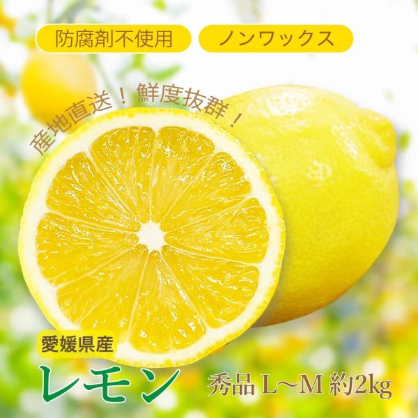 ＼販売開始しました！／搾った時の香りがさわやかで、酸味もやさしく酸っぱすぎないのが特徴です。１個１個に重みがあります、その重さは水分が豊富な証、どれも果汁たっぷりです。内容・容量 秀品 レモン L〜M 約2kg保存方法 冷暗所で保存してくだ...