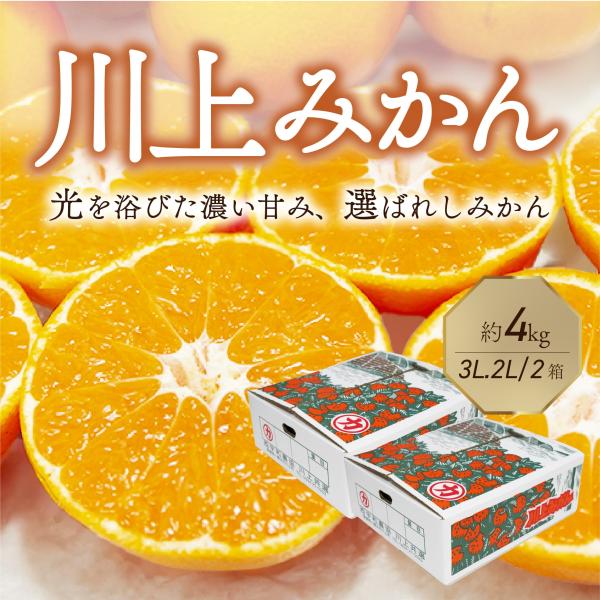 ＼予約開始いたしました／ ご注文受付：12月13日まで川上みかんは、天皇杯受賞など全国品評会で受賞歴のある川上共選より出荷されているみかんです。100年以上の歴史と、受け継がれる技術で、一粒一粒が濃厚でジューシーに仕上がっています。 糖度も...