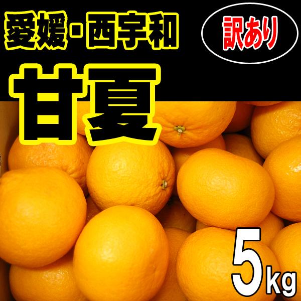【発売日：2026年03月04日】愛媛の甘夏です。愛媛産のなかでも産地は西宇和になります。西宇和地区は八幡浜、真穴、三崎、瀬戸、伊方、保内、三瓶、等で構成された地区であり、日の丸みかん、真穴みかん　川上みかん　などが有名です。甘夏は三崎地区...