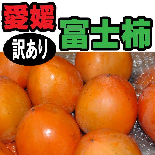 【発売日：2026年10月31日】愛媛産の大きな柿、富士柿です。産地は愛媛産のなかでも西宇和になります。西宇和地区は八幡浜、真穴、三崎、瀬戸、伊方、保内、三瓶、等で構成された地区であり、真穴みかん　川上みかん　日の丸みかんなどが有名です。富...