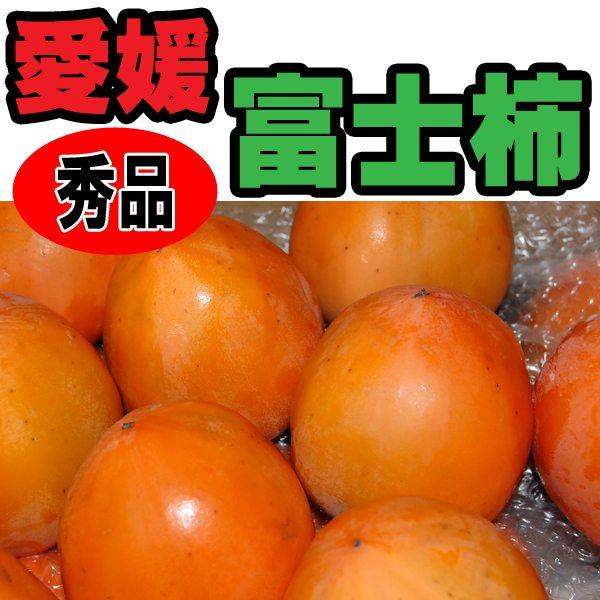 【発売日：2026年10月30日】愛媛産の大きな柿、富士柿です。産地は愛媛産のなかでも西宇和になります。西宇和地区は八幡浜、真穴、三崎、瀬戸、伊方、保内、三瓶、等で構成された地区であり、真穴みかん　川上みかん　日の丸みかんなどが有名です。富...