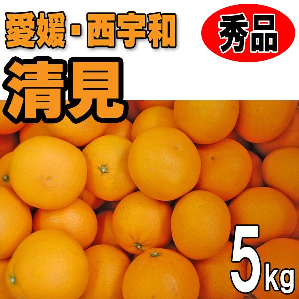 【発売日：2026年03月15日】愛媛の清見タンゴールです。3月中旬ごろから順次、発送予定です。愛媛産のなかでも産地は西宇和になります。西宇和地区は八幡浜、真穴、三崎、瀬戸、伊方、保内、三瓶、等で構成された地区であり、日の丸みかん、真穴みか...